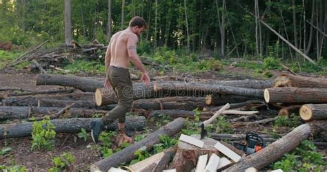 Shirtless Muscular Man Is Carrying Log In Forest On Summer Day Stock