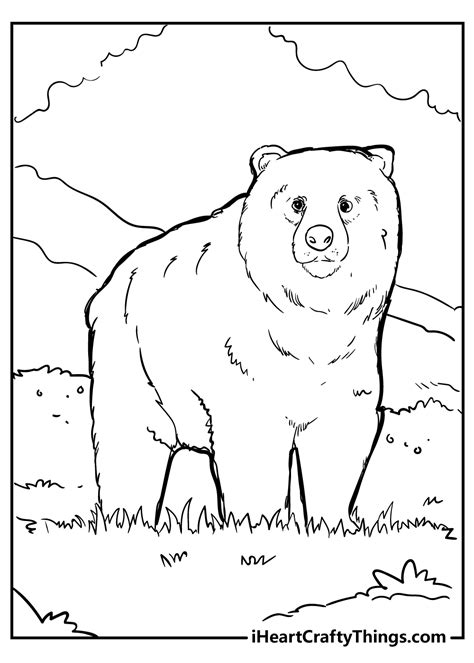30 Bear Coloring Pages 100 Free Printable