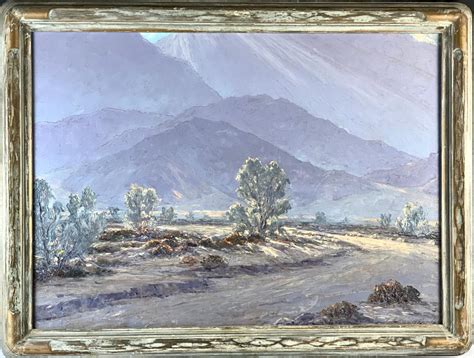 Spare Parts And Pics Smoke Trees The Ghosts Of The Desert