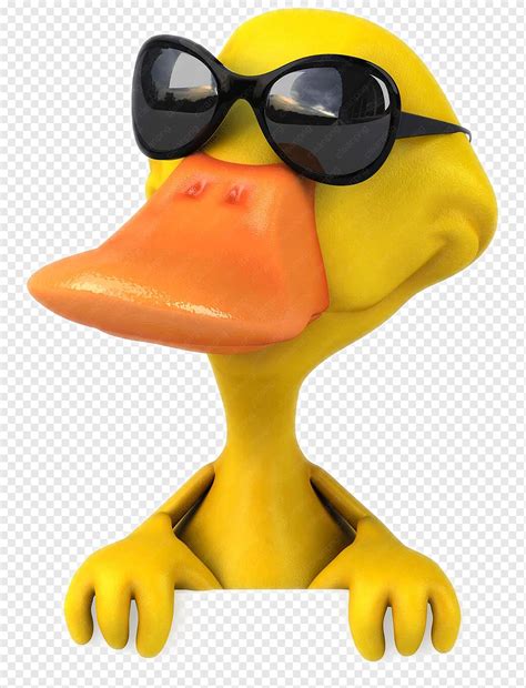 Cartoon Duck With Sunglasses