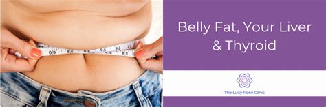 Belly Fat Liver And Thyroid Whats The Real Connection