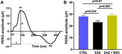 Msc Treatment In Eae Mice Preserves Pattern Erg Amplitude A The