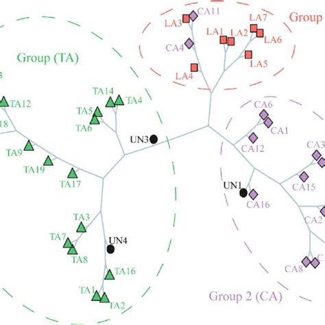Plot Of Q Mode Cluster Analysis Download Scientific Diagram