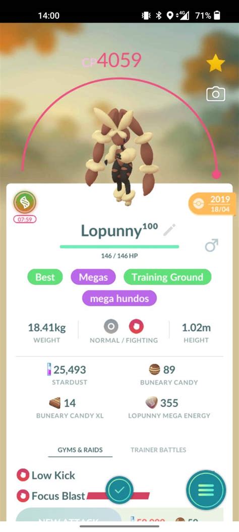 Pokemon Lopunny Mega Evolution