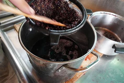 Elderberry Processing Workshop Nature Walk 3626 Railroad Ave