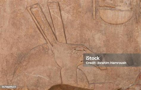 Relief Dinding Yang Menunjukkan Penguasa Kekacauan Atau Dewa Seth Di Kompleks Kuil Karnak Luxor