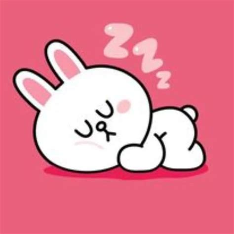 Cony Coney Conyconeygi • Threads Say More