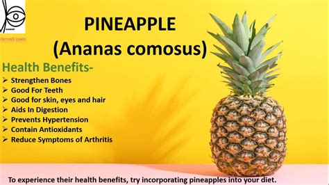 Fresh Pineapple Health Benefits Pineapple Health Benefits Uses And