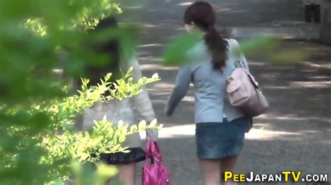Respectable Asian Woman Peeing Eporner