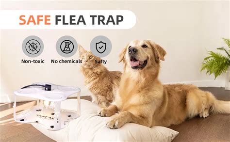 Flea Trap 2 Pack Flea Light Trap Indoor With 8 Glue Discs