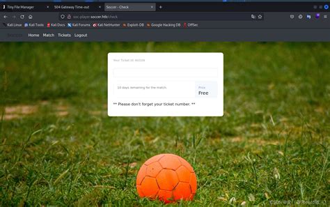 Htb打靶日记：soccerhtb Soccer Csdn博客