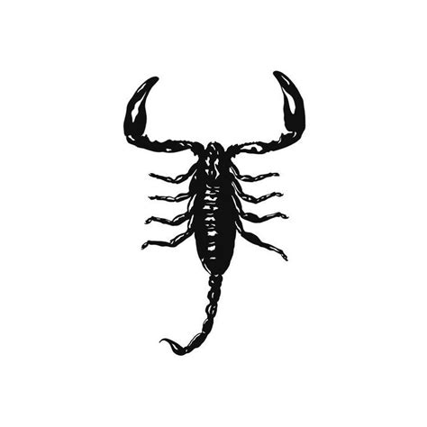 Scorpion Tattoo Design