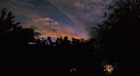 Fatima Aslam Fatimaaslm Twitter