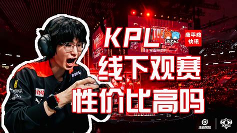 为何kpl决赛落座率那么高？线下观赛翻倍精彩？kpl赛事的未来是什么【康平路快讯】 萧炎不鸽 萧炎不鸽 哔哩哔哩视频