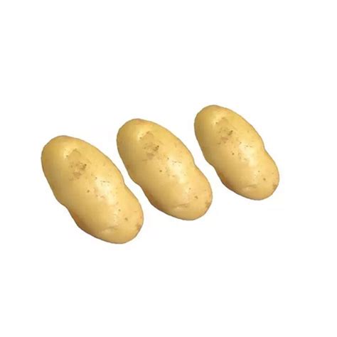 Buy Wholesale Canada Fresh Potatoes Export Wholesale At The Best Price Top Quality Potato Newest