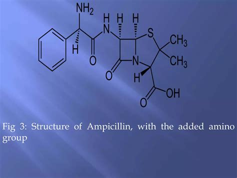 Ampicillin Production Pptx