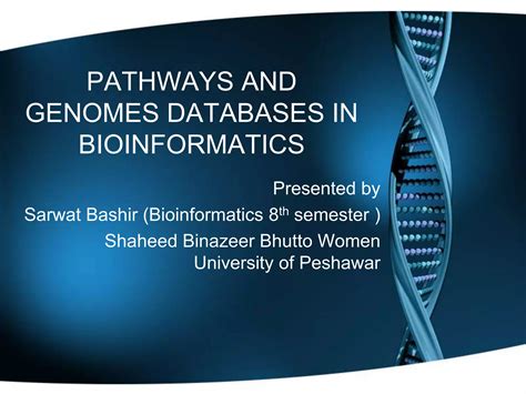 Pathways And Genomes Databases In Bioinformatics Pptx