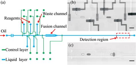 valve based microfluidic device for droplet on demand operation and