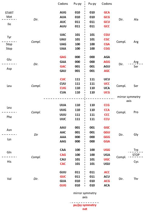 The Supersymmetry Genetic Code Table And Quadruplet Symmetries Of Dna