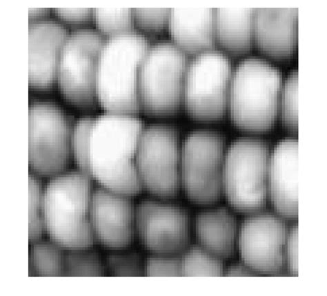 Imshow Display Image Matlab