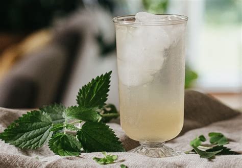 A Toast With Spring Sting Nettle Cocktail From The Botanical Mixed