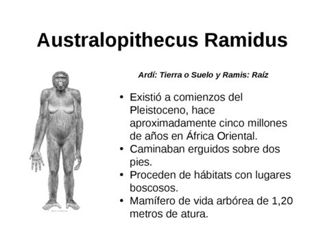 Origen Del Ser Humano Pt1 Timeline Timetoast Timelines