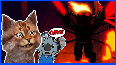 Gravy Cat Man And Koala At Ruby Vannatter Blog