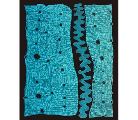 Spectacular Art By Doris Bush Nungarrayi Papunya Tjupi Arts