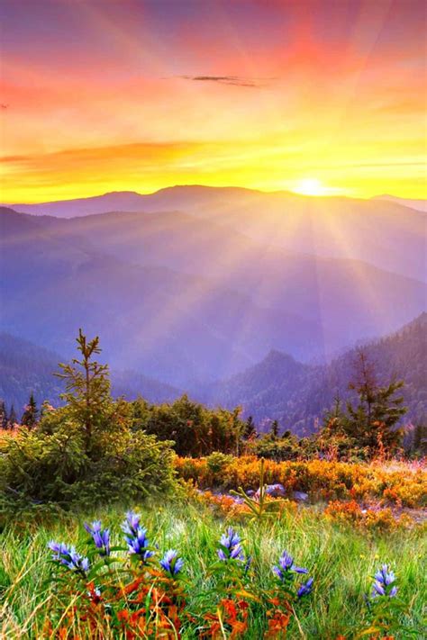 Download Morning Sun Pictures