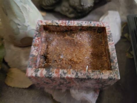 The Broken Cockroach The Miserable Gardener