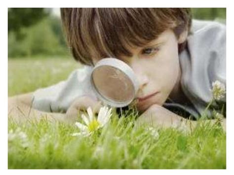 self directed learning pptx