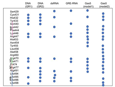 Residues Of The Glucocorticoid Receptor Involved In Nonspecific