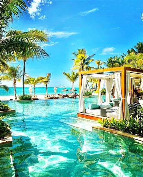 100 Madadaskar Wallpaper Kostenlos