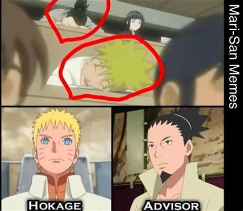 Loool😹 Anime Amino