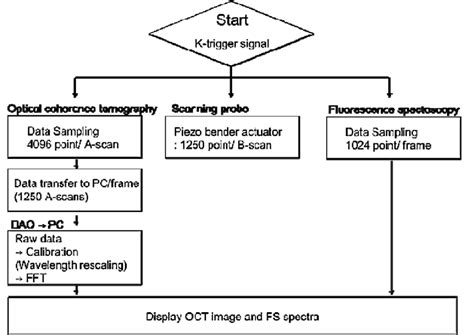 Data Flow Diagram Of Signal Processing For Simultaneous Measurement Of Download Scientific
