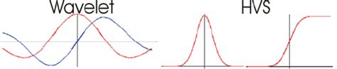 1d Cross Sections Of Gabor Wavelets With Sine And Cosine Components Download Scientific Diagram