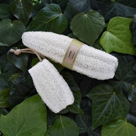 Grow Loofah And Other Botancials
