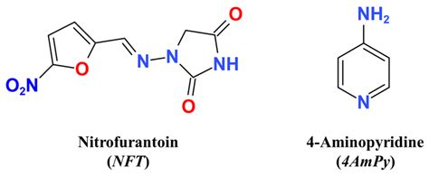 New Solid Forms Of Nitrofurantoin And 4 Aminopyridine Salt Influence