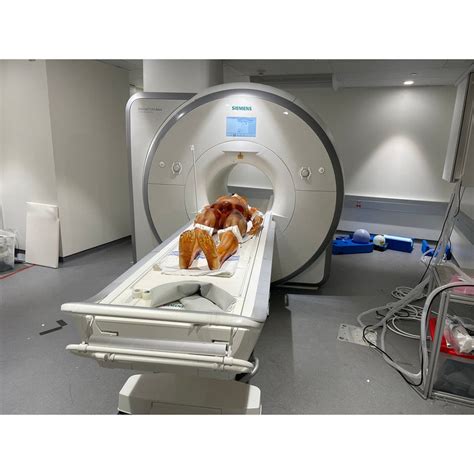 Adult Full Human Body Phantom With Muscles For X Ray Ct Scan And Ul