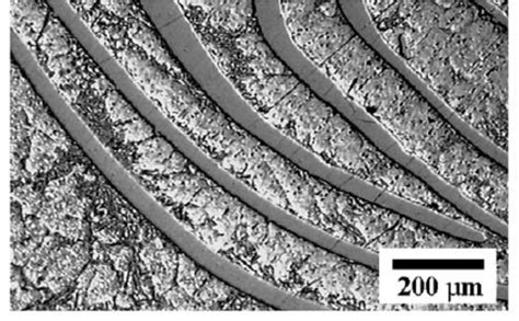 Microstructure Of Ni Nb Ta Metallic Glass Ribbon Reinforced Al Si Mg Download Scientific