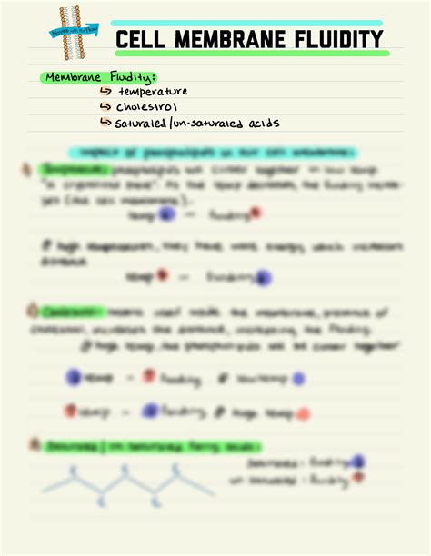 Solution Cells Cell Membrane Fluidity Studypool