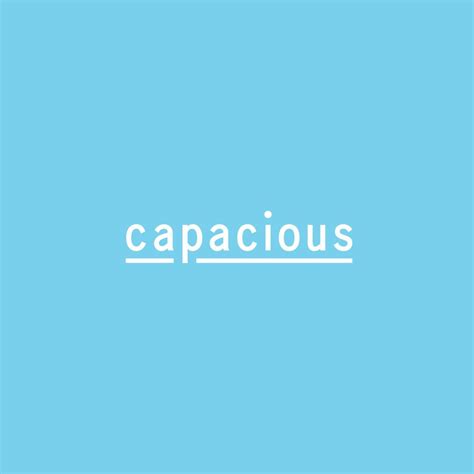 Capacious −カペイシャス− 現代アート アート作品 現代