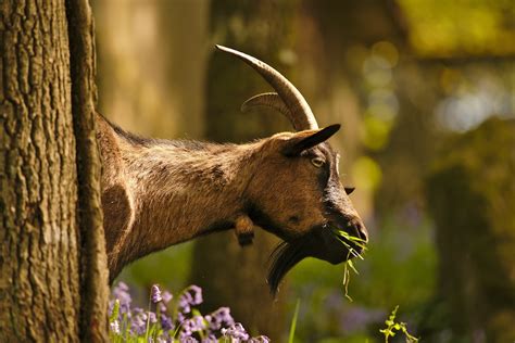 使用docker安装graylog