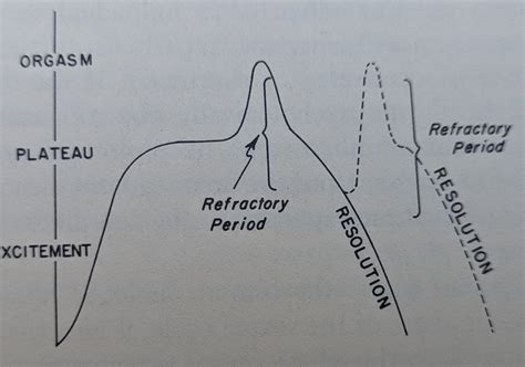 Human Sexual Response Summary Section 1 — Science Sex And The Ladies