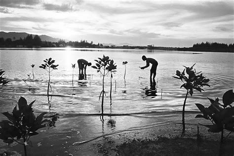 브로콜리숲 아마도국내유일지하철역작은책방 브로콜리숲 도서출판브로콜리숲 하루한알동시비타민 거미집 대구북구청소식지 행복나눔 숲지기추천 고향에서놀던때가그립습니다
