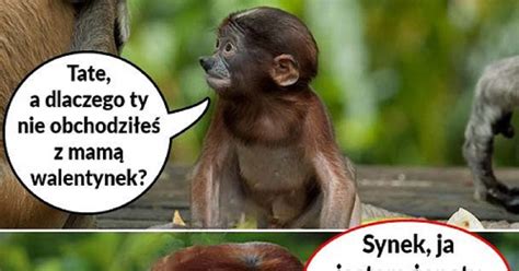 Musiał Uświadomić Syna