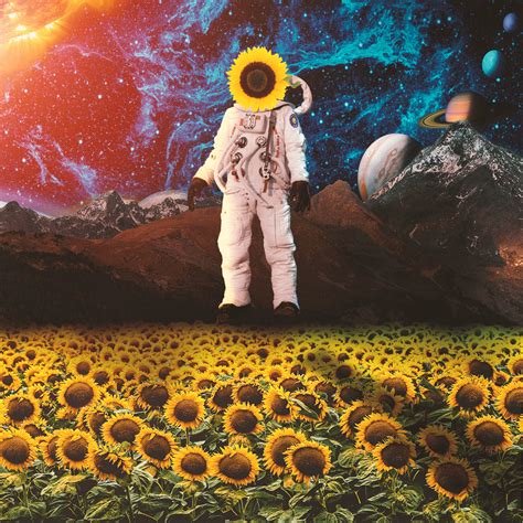 Sunflower Space On Behance