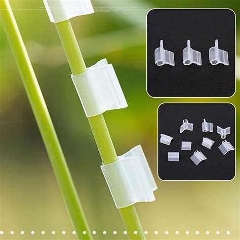 Tuteur Plante Pince De Greffage De Plantes 100 Pièces Pour Semis De