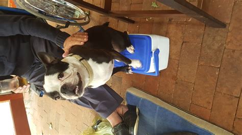 How Do You Like My Rendition Of The Atomic Disassembler Rfeedthebeast