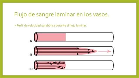 Concepciones De La Biofisica Unidad 3 Viscosidad SanguÍnea Y Perfiles